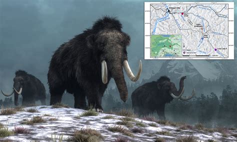 Frozen Woolly Mammoth