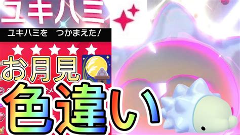【期間限定レイド】色違い出し方解説！！色違いユキハミ出現率アップイベントレイドお月見ポケモン剣盾ソードシールドnintendo