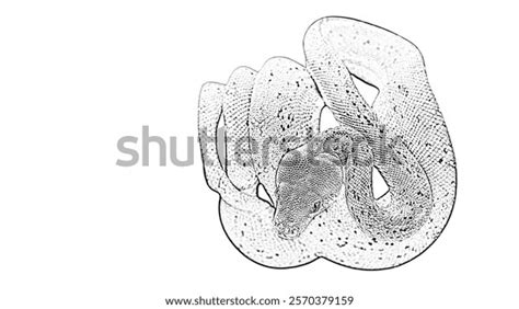 Detailed Sketch Green Python Coiled Elegantly Stock Illustration 2570379159 Shutterstock