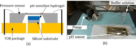 A Structure And B Measuring Set Up Of The Hydrogel Based Ph Sensor