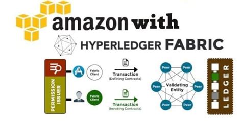 Using Aws Blockchain Templates For Hyperledger Fabric Development In Go