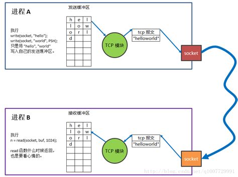 22 Tcp 协议(psh 标志)tcp Psh Csdn博客 22 Tcp 协议(psh 标志)tcp Psh Csdn博客