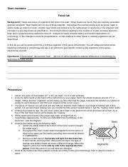 Fossil Activity For Babes Pdf Team Members Fossil Lab Background Fossils Are Traces Of