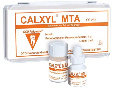 Calxyl Mta 1g