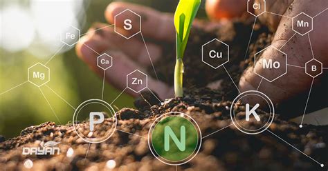 عنصر نیتروژن