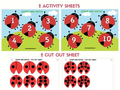 Bugs Counting Activity Numbers 1 10 Count Count Activities For