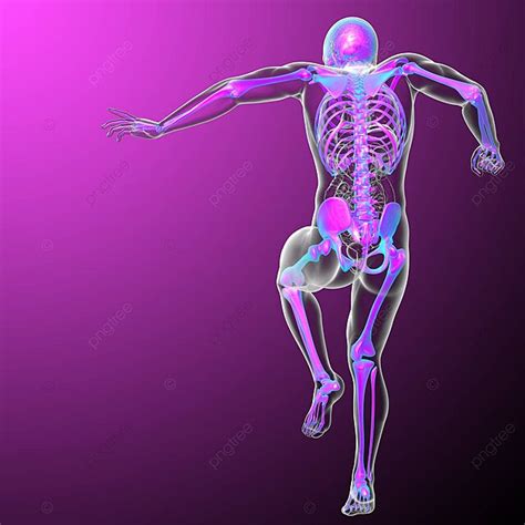 3d Render Medical Illustration Of The Skeleton Human Leg Skull Photo Background And Picture For