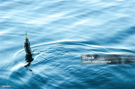 Grayling 물고기는 미끼에 잡은 강에 Grayling입니다 어 부 Grayling 물고기와 미끼를 들고입니다 성공적인 낚시의 개념입니다 낚 싯 대와 큰 물고기 잡기