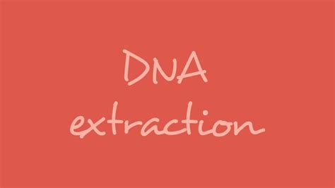 Dna Extraction A Practical Demonstration Youtube