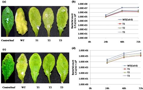 Pathogen Susceptibility Assay And Determination Of Bacterial Titer In