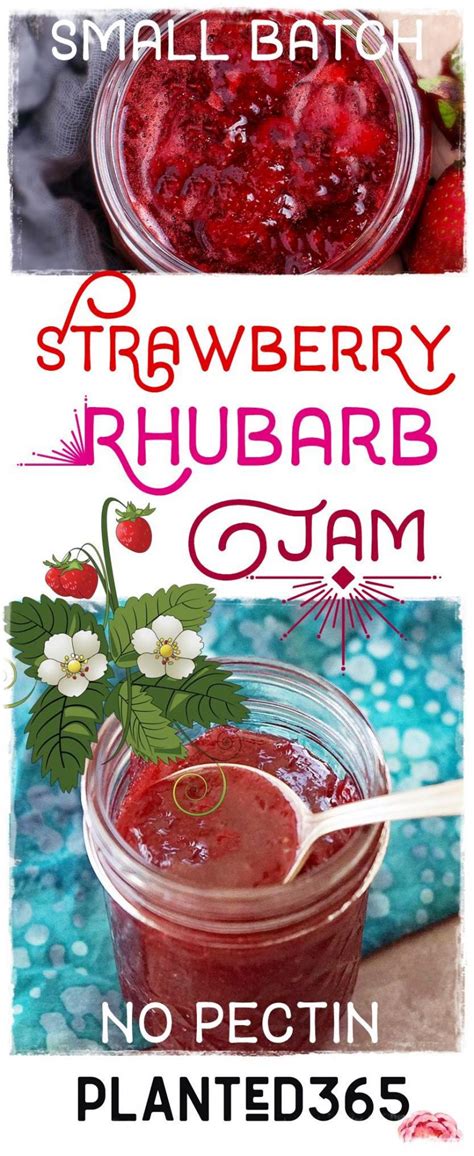 Strawberry Rhubarb Jam Quick And Easy No Pectin Recipe Planted365