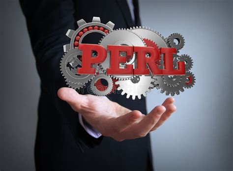 Perl Coding Stock Illustration Illustration Of Data 51793301