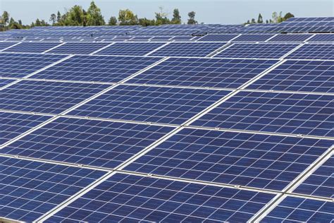 다 결정 실리콘 태양 전지 태양광 발전소 대체 신 재생 에너지는 태양에서의 행 배열을 닫습니다 0명에 대한 스톡 사진 및 기타