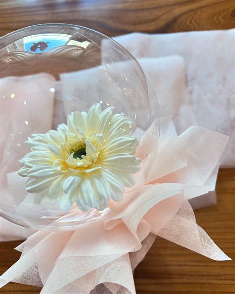 캘리플라워 풍선캘리 캘리그라피 벌룬플라워 주문 작업 하는날 꽃풍선 한송이 포인세티아 꽃풍선 풍선꽃다발 졸업식꽃풍선 발표회꽃풍선 캘리꽃풍선 너만보여