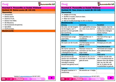 Graad 6 Lewensvaardigheid Kwartaal 3 Lv Platinum Classroom101