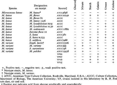 Table I From Differentiation Of Micrococcus Luteus And Micrococcus