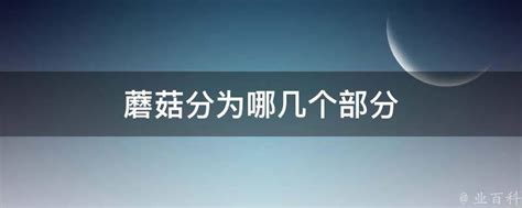蘑菇分为哪几个部分 业百科