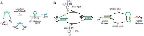 A Dissipative Operation Of A Nucleic Acid Based Nanodevice Fueled By