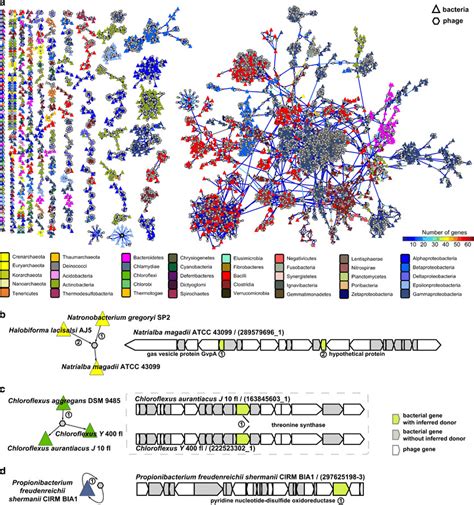 The Directed Transduction Network A Graphic Representation Of The