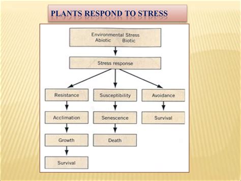 Crop Modeling For Stress Situation Ppt Crop Modeling For Stress Situation Ppt