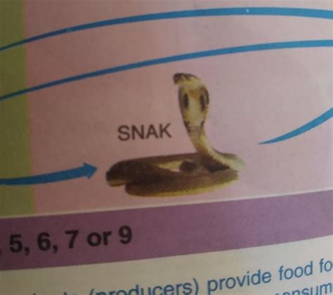 Legacy Code Transition R Programmerhumor