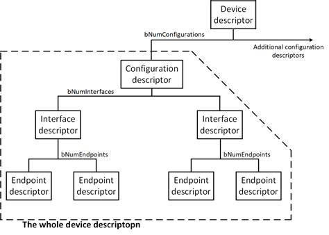 Usb Interface Association Descriptor At Fawn Adams Blog