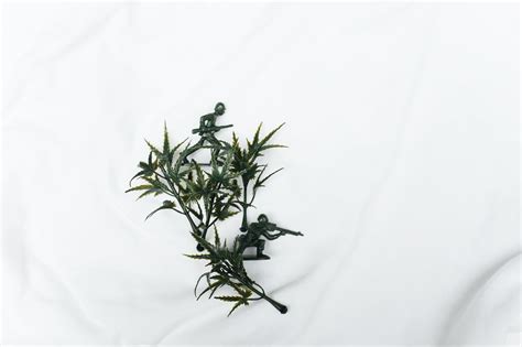 Rule 34what Is It And Does It Actually Exist The Bent Banana