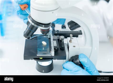 Scientist Analyze Biochemical Samples In Advanced Scientific Laboratory
