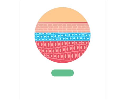 Sayyes 캐번 리프팅