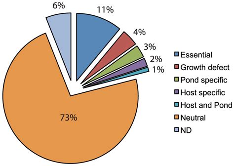 Cloning Pie Chart Keski