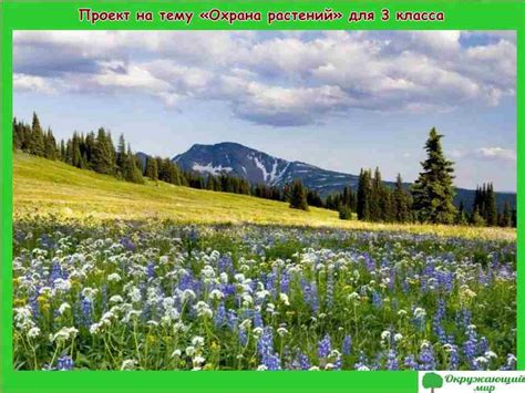 Проект «Охрана растений Окружающий мир 3 класс 1 часть