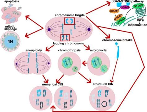 Png2 Mapping Ignorance