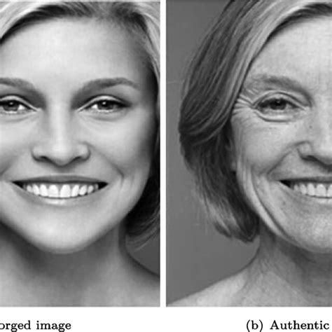 Example Of Jpeg Blocking Artifacts Download Scientific Diagram
