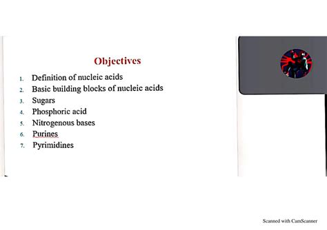 SOLUTION Biochemistry Of Nucleic Acids DNA Structure Studypool