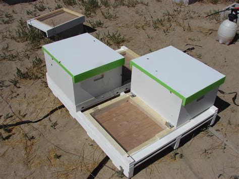 Considering Beekeeping But I Have A Few Questions Beekeeping