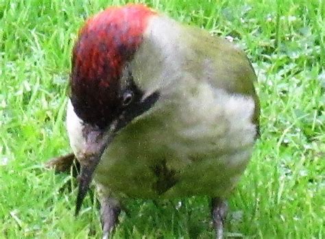 Pre Ai Passing Exams Knowledge Or Technique