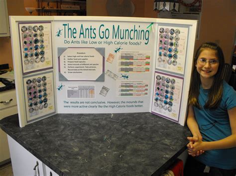 The Ants Go Munching Display Board Adventure