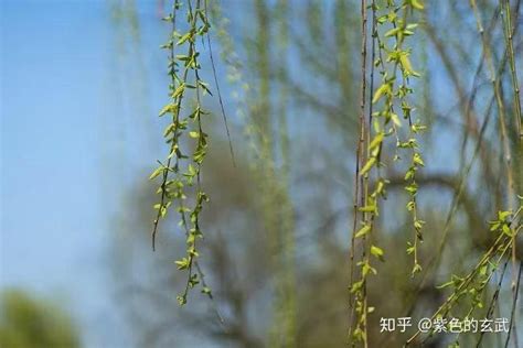 孩子成长路上的点滴 那些吃力不讨好的事情我再也不做了 知乎 孩子成长路上的点滴 那些吃力不讨好的事情我再也不做了 知乎