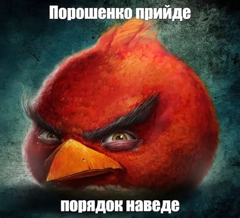 Create Meme The Bird Of Angri Birds The Evil Bird Of The Angri Birds