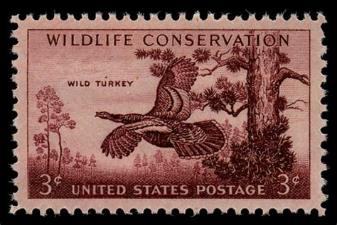 Wildlife Conservation Issues