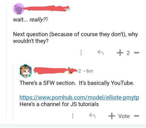 til pornhub has programming tutorials r programmerhumor