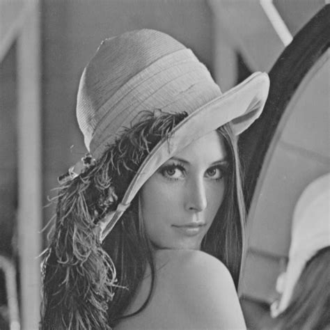 Lena Of 512 By 512 Pixels With 8 Bits Per Pixel Bpp Download