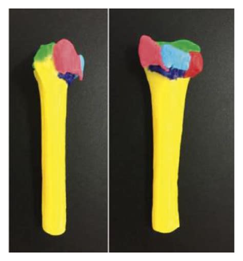 3d printed solid model visually showing fracture morphology download