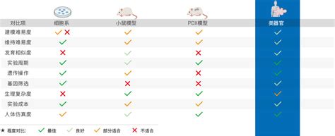 类器官模型构建 类器官培养 类器官技术服务公司 环特生物