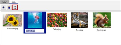 Integration Of Image Resources Quickhmi Documentation
