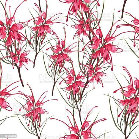벡터 원활한 열 대 패턴 선명한 열 대 단풍 레드 프로 테아 꽃 개화 현대 밝은 여름 인쇄 디자인입니다 흰색 배경입니다 0명에 대한 스톡 벡터 아트 및 기타 이미지 Istock