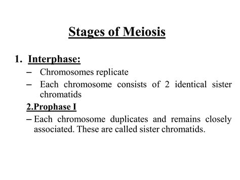 Biology Theory 5 Cell Division In Eukaryotic Cell Ppt