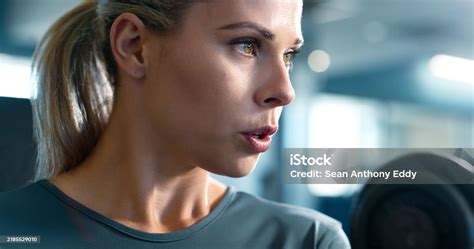 체육관에서 훈련 역도 및 여성 힘과 피트니스 보디 빌딩 및 운동에 대한 심각한 헬스 클럽에 있는 사람을 위한 건강 성능 및 근육을 위한 운동 힘 및 헌신 건강한 생활방식에