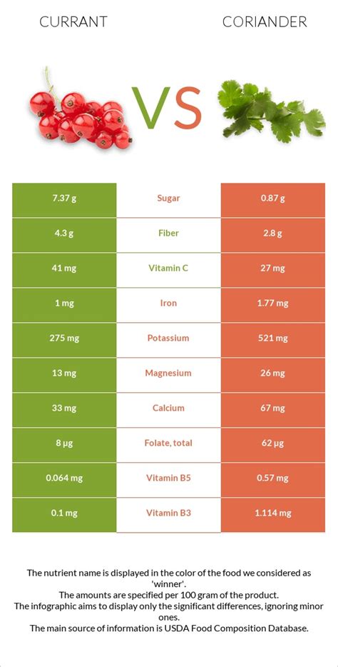 Currant Vs Coriander — In Depth Nutrition Comparison