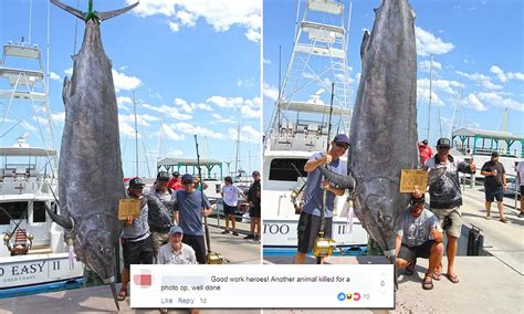 Anatomical Black Marlin